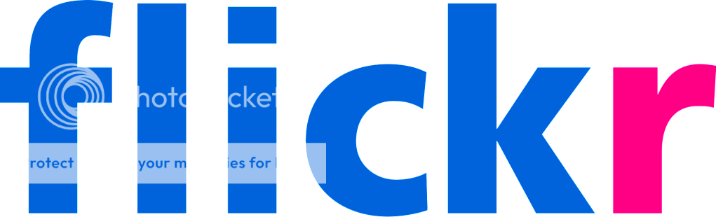 If you like Photography Chronicles