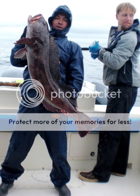 Sitka, Alaska...And Bass There Are | Bloodydecks